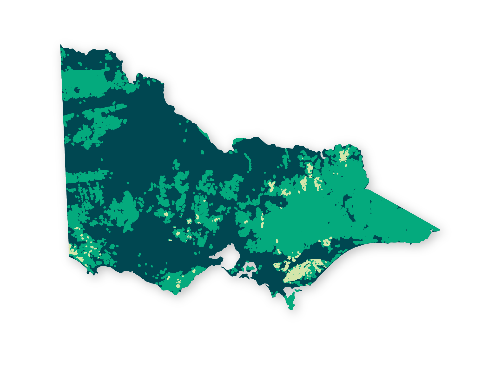 Rethinking Forestry - Victoria Wood